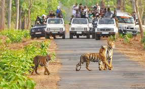 Top Tourist Places to Visit in Chandrapur,Chandrapur Tourism,Best ...