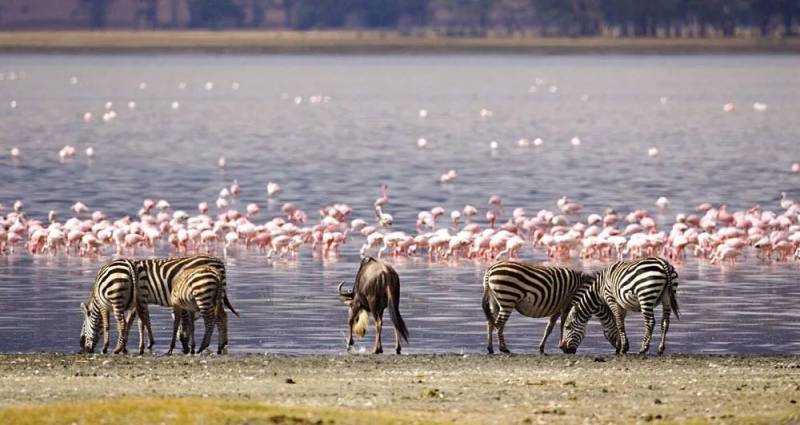 5 Days Kenya - A Beautiful Road Trip (263968),Holiday Packages to ...