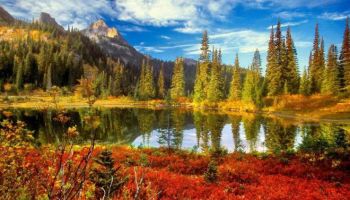 Seattle all Inclusive Vacations Package (17422),Holiday Packages to Seattle