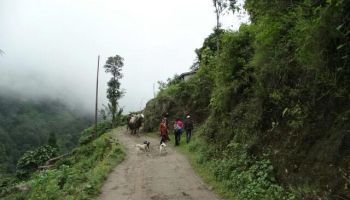 Rimbick Tour (47334),Holiday Packages to Rimbick, Darjeeling