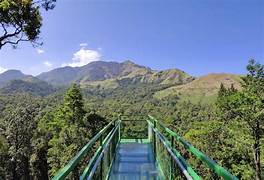 2 Night 3 Days - Wayanad Tour Package (248560),Holiday Packages to Wayanad