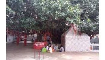 Shri Dev Darshan And Shri Gaya Ji Dham Darshan (With Side Scenes) (198613),Holiday Packages to ...