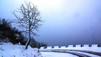 Zuluk Nathang Kupup With Reshikhola (Sikkim Old Silk Route) (222632),Holiday Packages to Zuluk