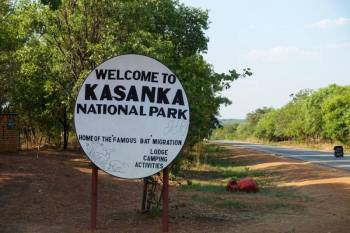 4 Nights 5 Days Explore Kasanka National Park Safari Tour (245976 ...