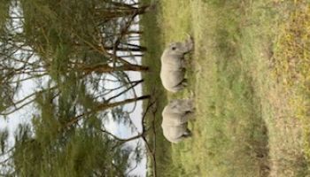 2 Nights Experience with a Kenyan Family (247019),Holiday Packages to ...