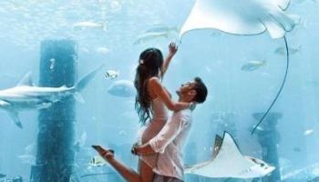 Marhaba Dubai (248490),Holiday Packages to Bur Dubai, Dubai