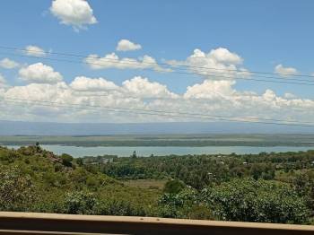 1 night 2 days Lake Nakuru National park (257967),Holiday Packages to ...