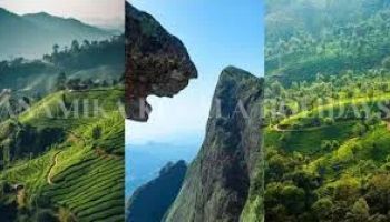 Theni – Trivandrum – Varkala (4N/5D) More Details (258592),Holiday ...